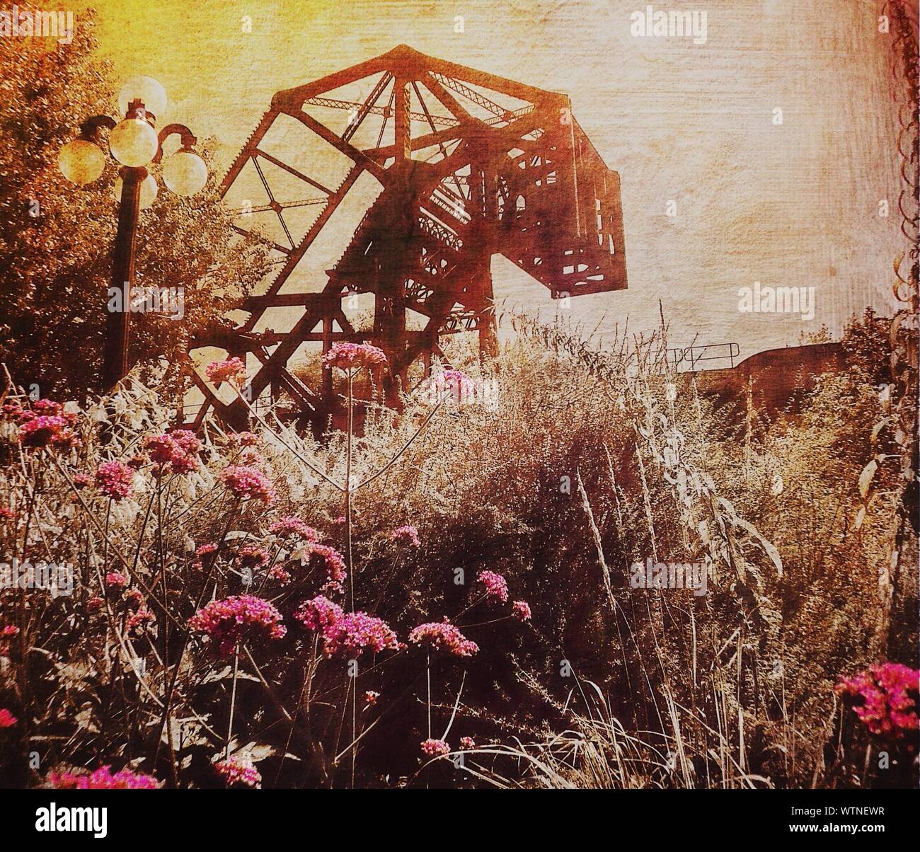 Machinery park hi-res stock photography and images - Alamy