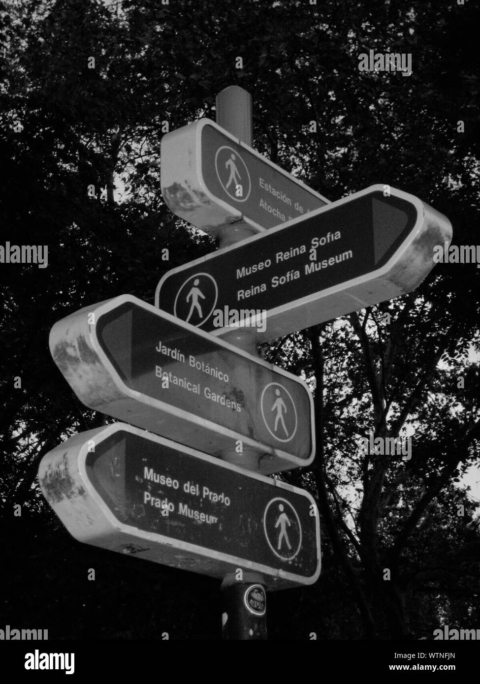 Directional sign tree hi-res stock photography and images - Alamy