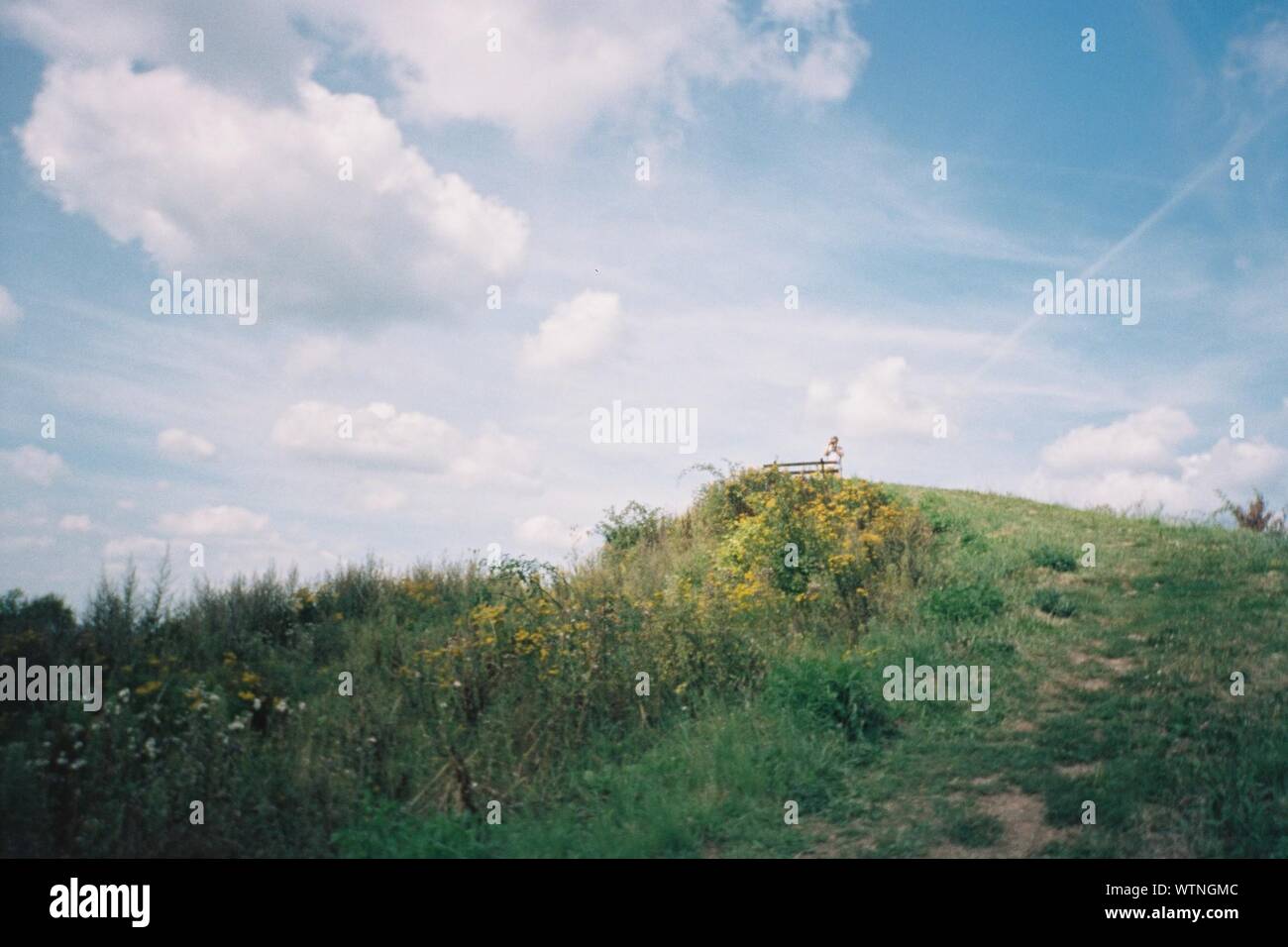 Spring field hi-res stock photography and images - Alamy