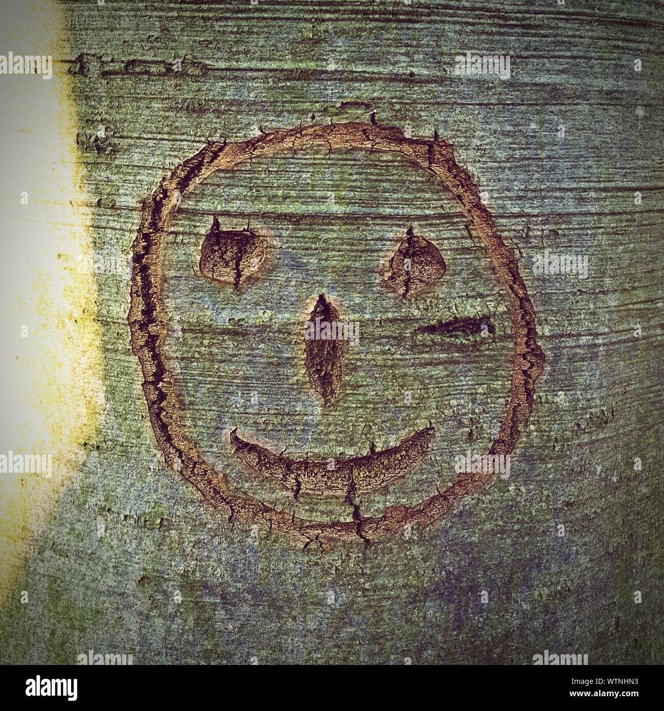 Smiley tree hi-res stock photography and images - Alamy