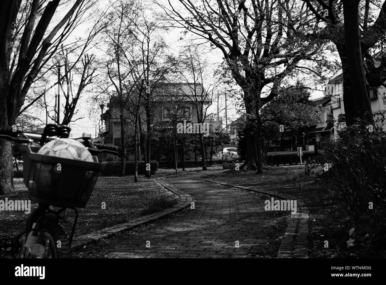 Leading Ball High Resolution Stock Photography and Images - Alamy