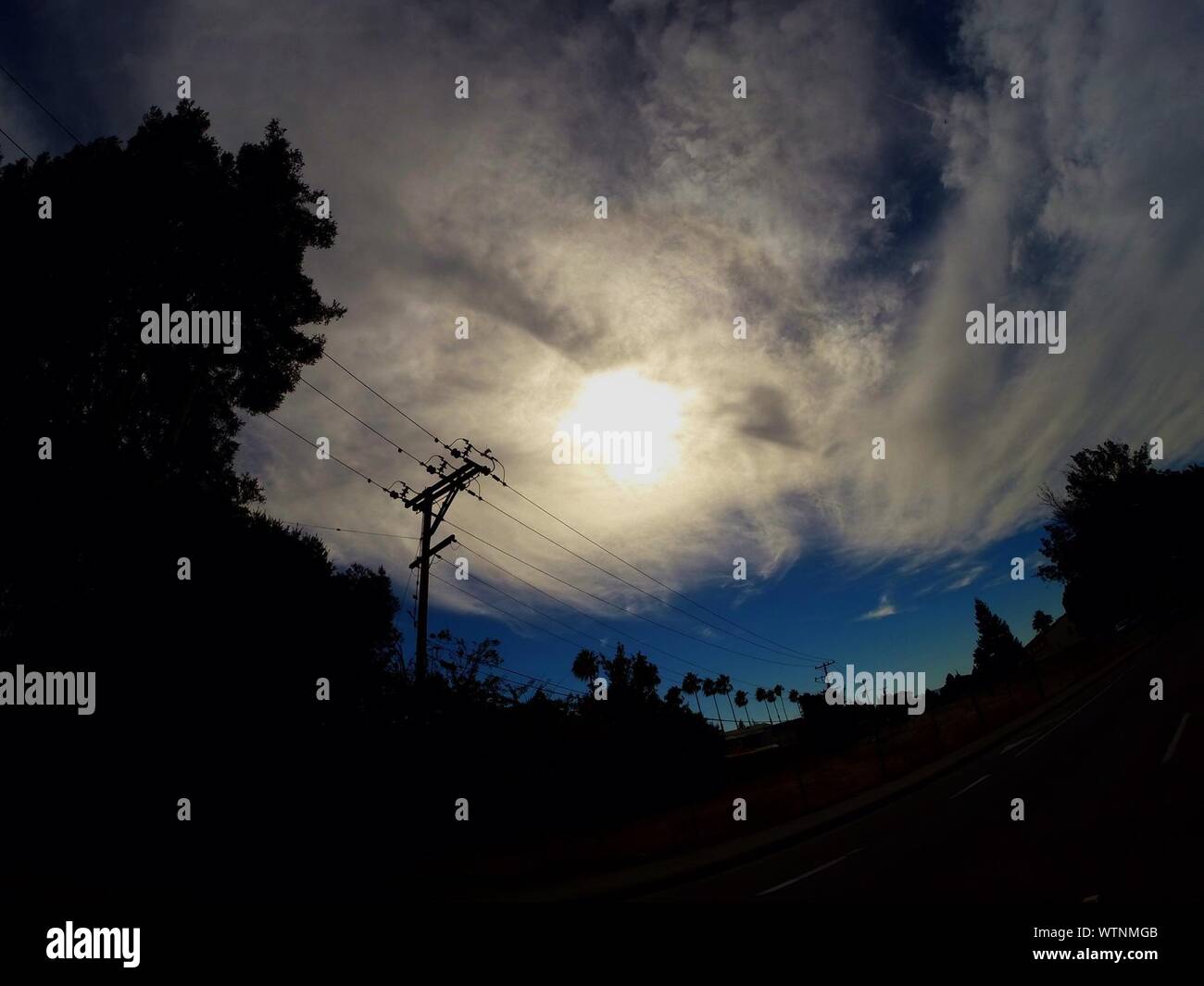 Pylon tree hi-res stock photography and images - Alamy