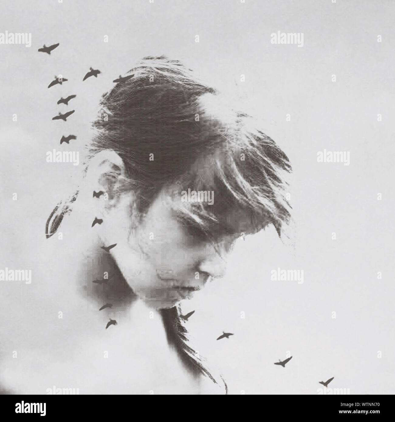 Double exposure wildlife hi-res stock photography and images - Alamy