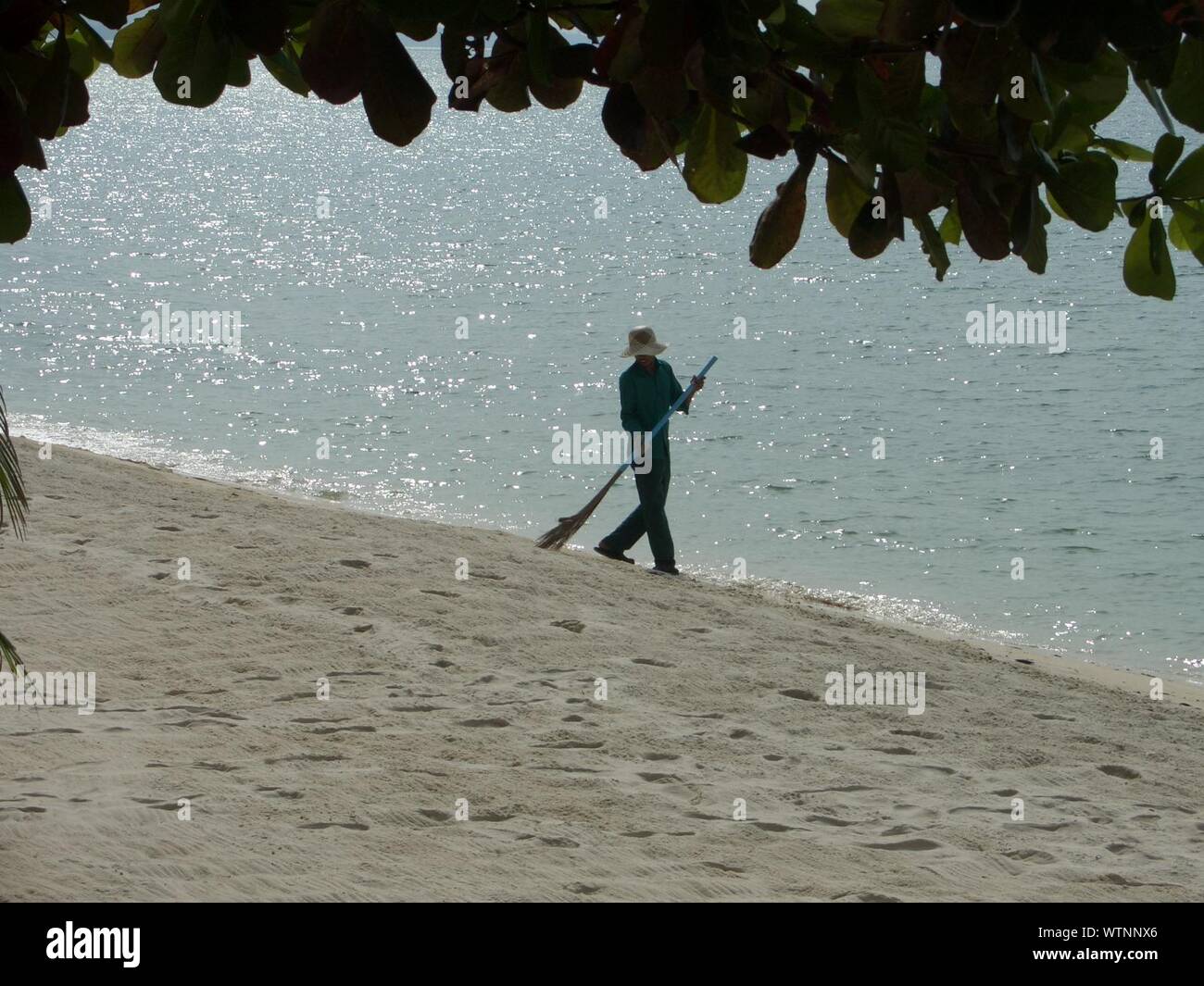 Cleaning beach person hi-res stock photography and images - Alamy