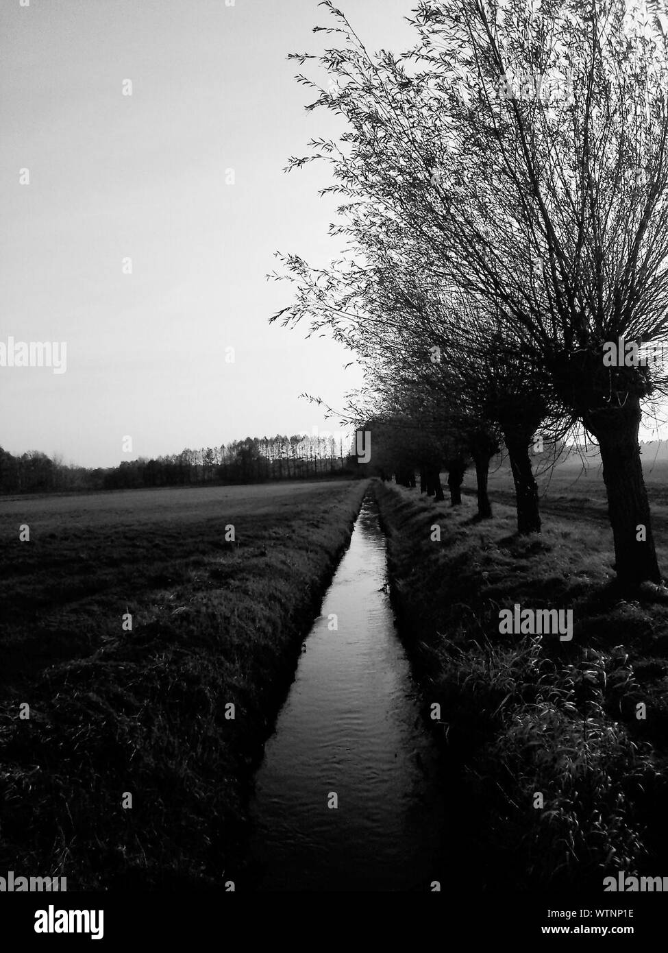 The agricultural field Black and White Stock Photos & Images - Alamy