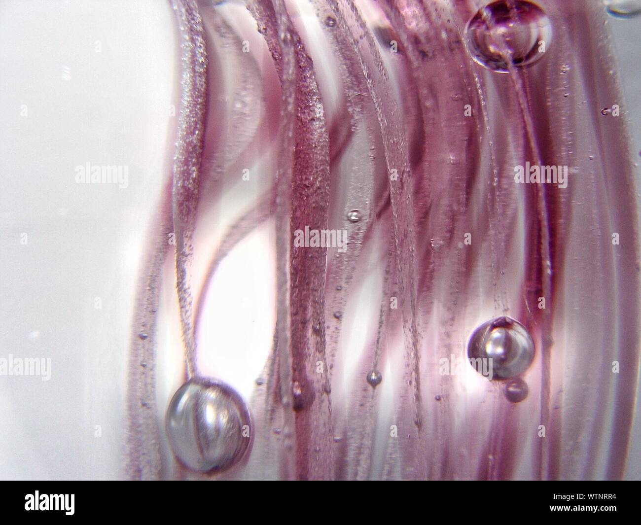 People with animal limbs hi-res stock photography and images - Alamy