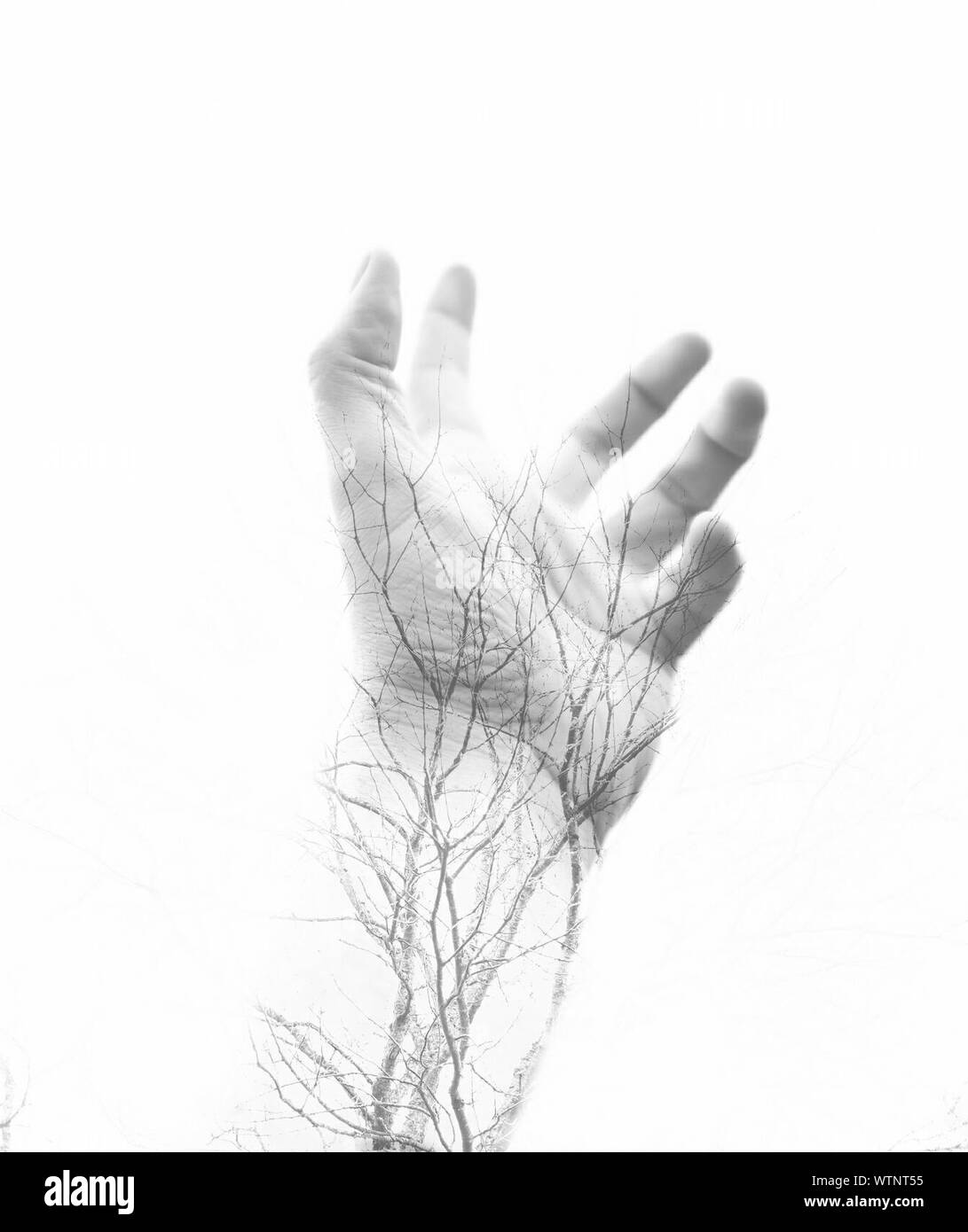 Veins of the hand hi-res stock photography and images - Alamy