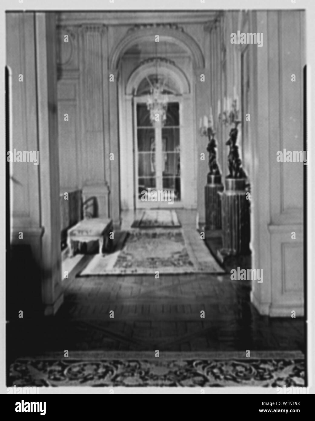 Alexander hamilton rice hi-res stock photography and images - Alamy