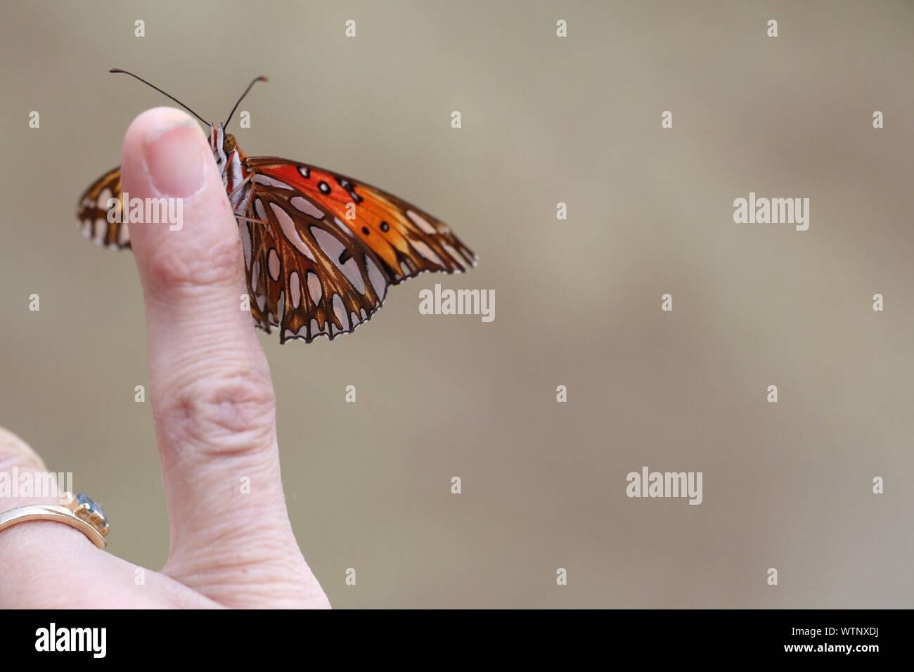 Finger markings hi-res stock photography and images - Alamy