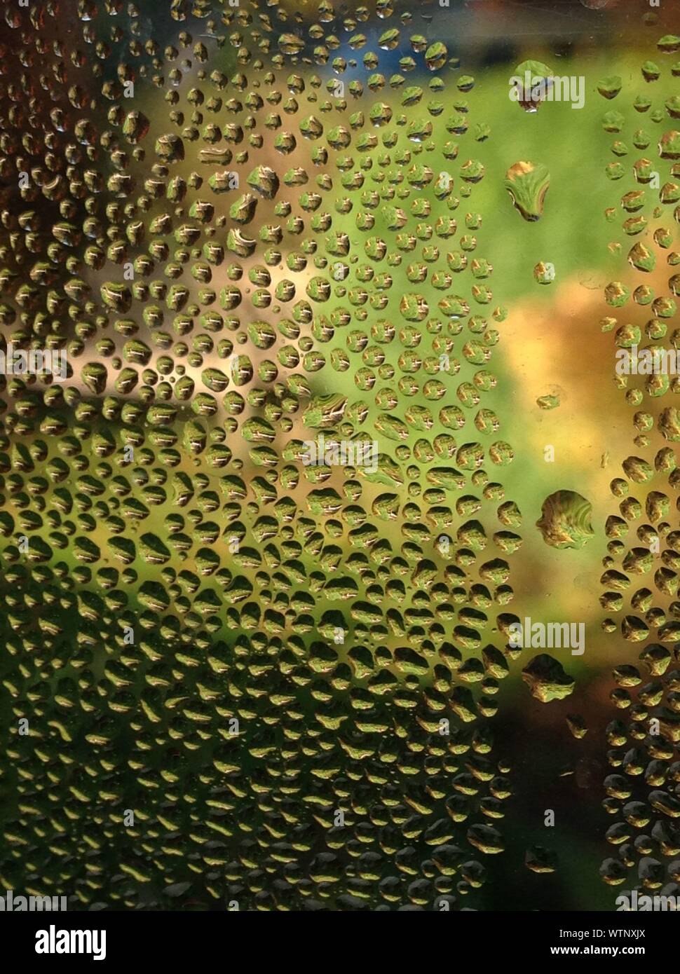 Condensed glass window close up hi-res stock photography and images - Alamy