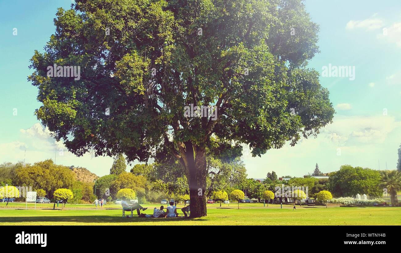 Group of people sitting under tree hi-res stock photography and images ...