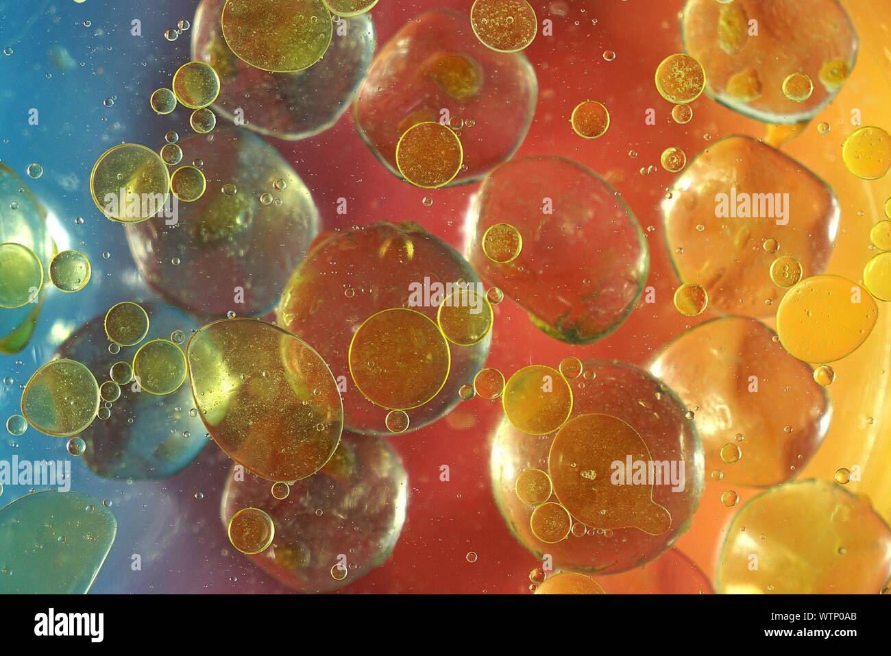 Oil floating in water hi-res stock photography and images - Alamy