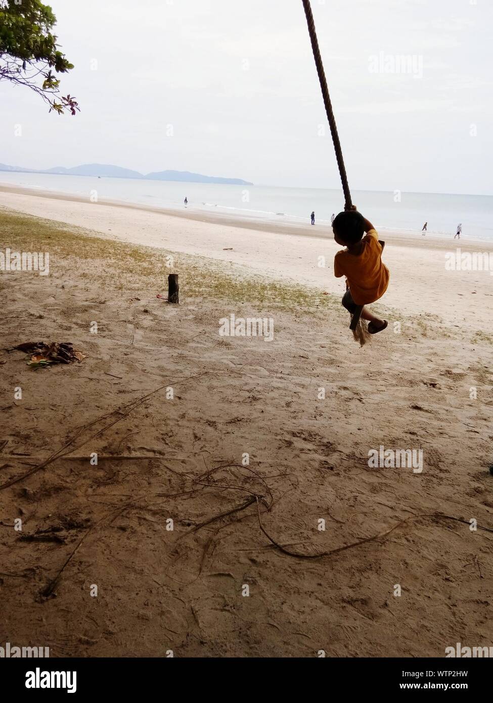 Tree Over Water Rope Swing High Resolution Stock Photography and Images ...