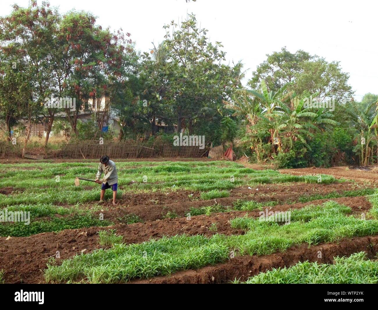 Farmer working the field hi-res stock photography and images - Alamy