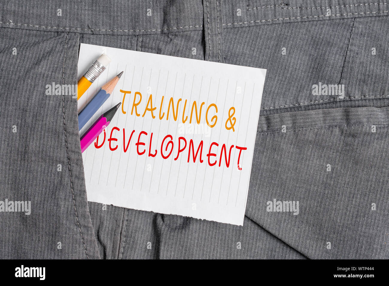 Word writing text Training And Development. Business photo showcasing ...