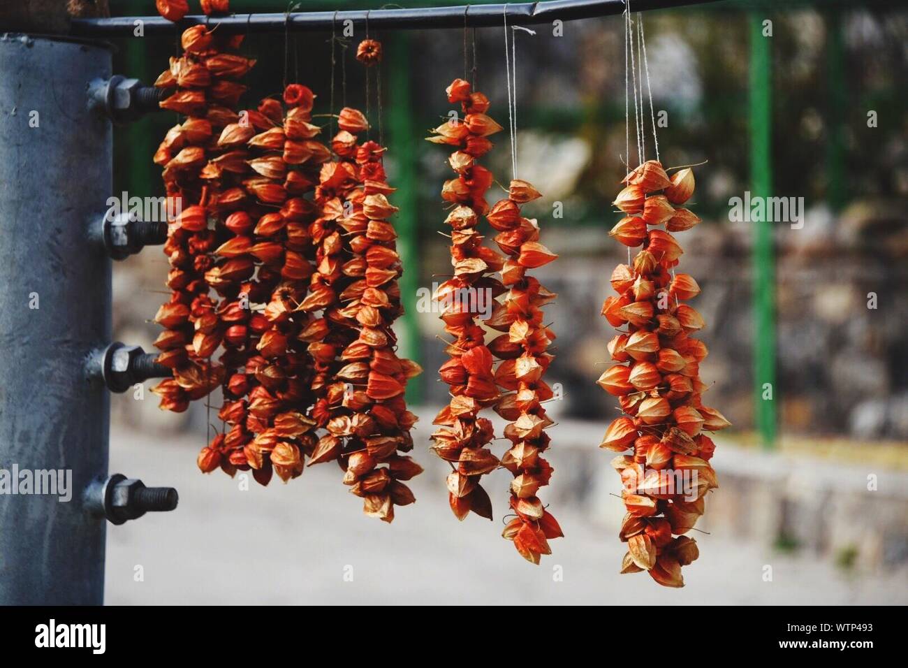 Hanging dried fruit hi-res stock photography and images - Alamy
