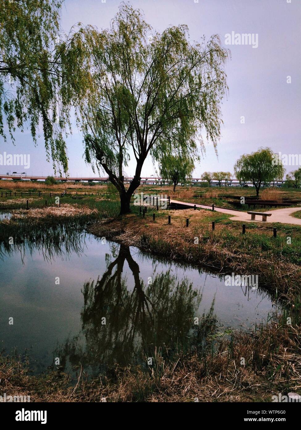 Marsh scenery hi-res stock photography and images - Alamy