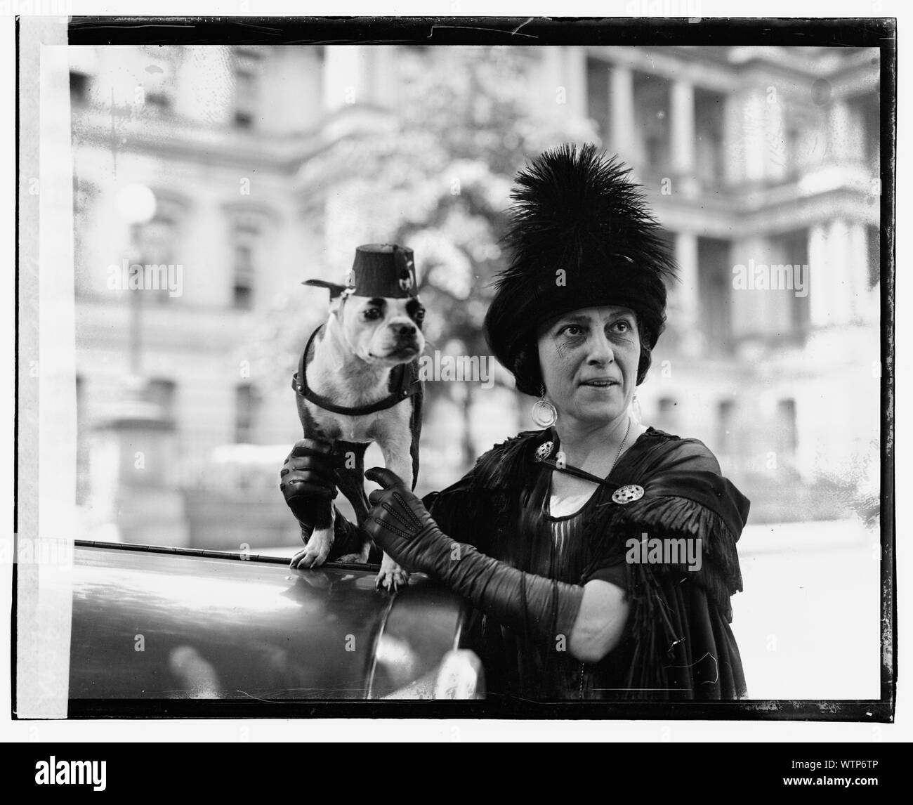 Cassilly adams hi-res stock photography and images - Alamy