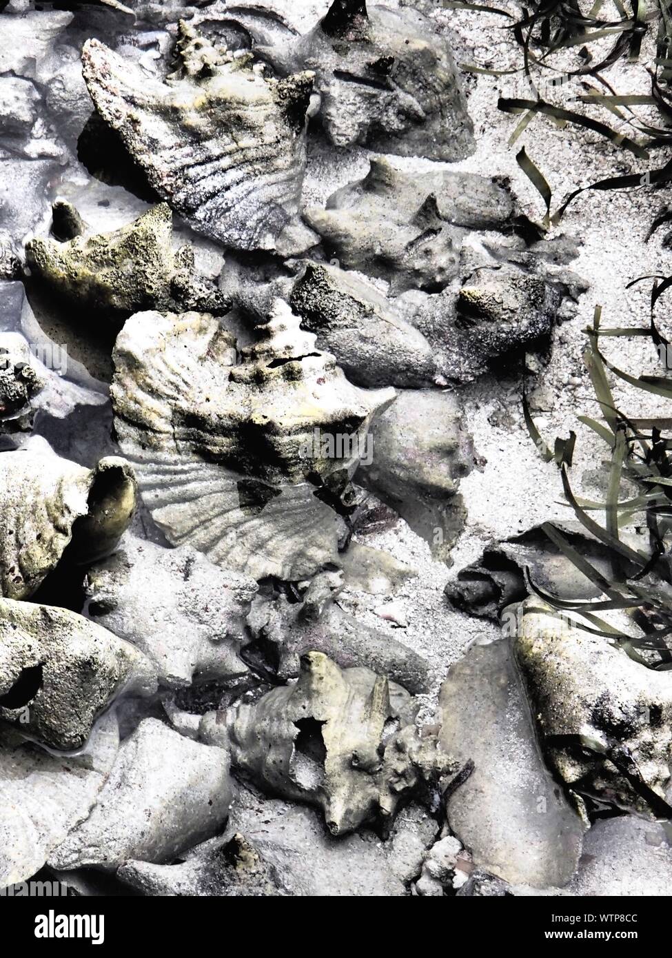 Mud Objects High Resolution Stock Photography and Images - Alamy