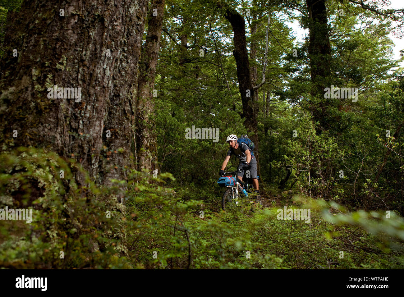 Hewet hi-res stock photography and images - Alamy