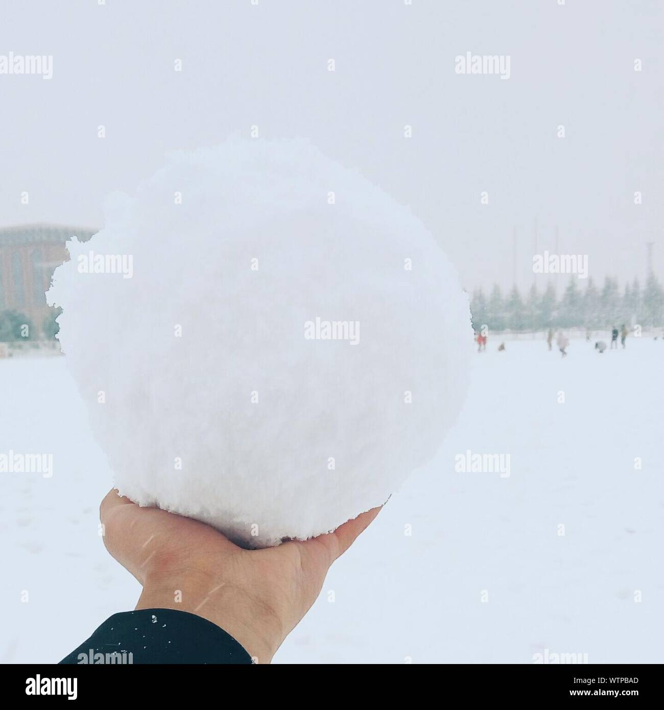Hand holding snowball hi-res stock photography and images - Alamy