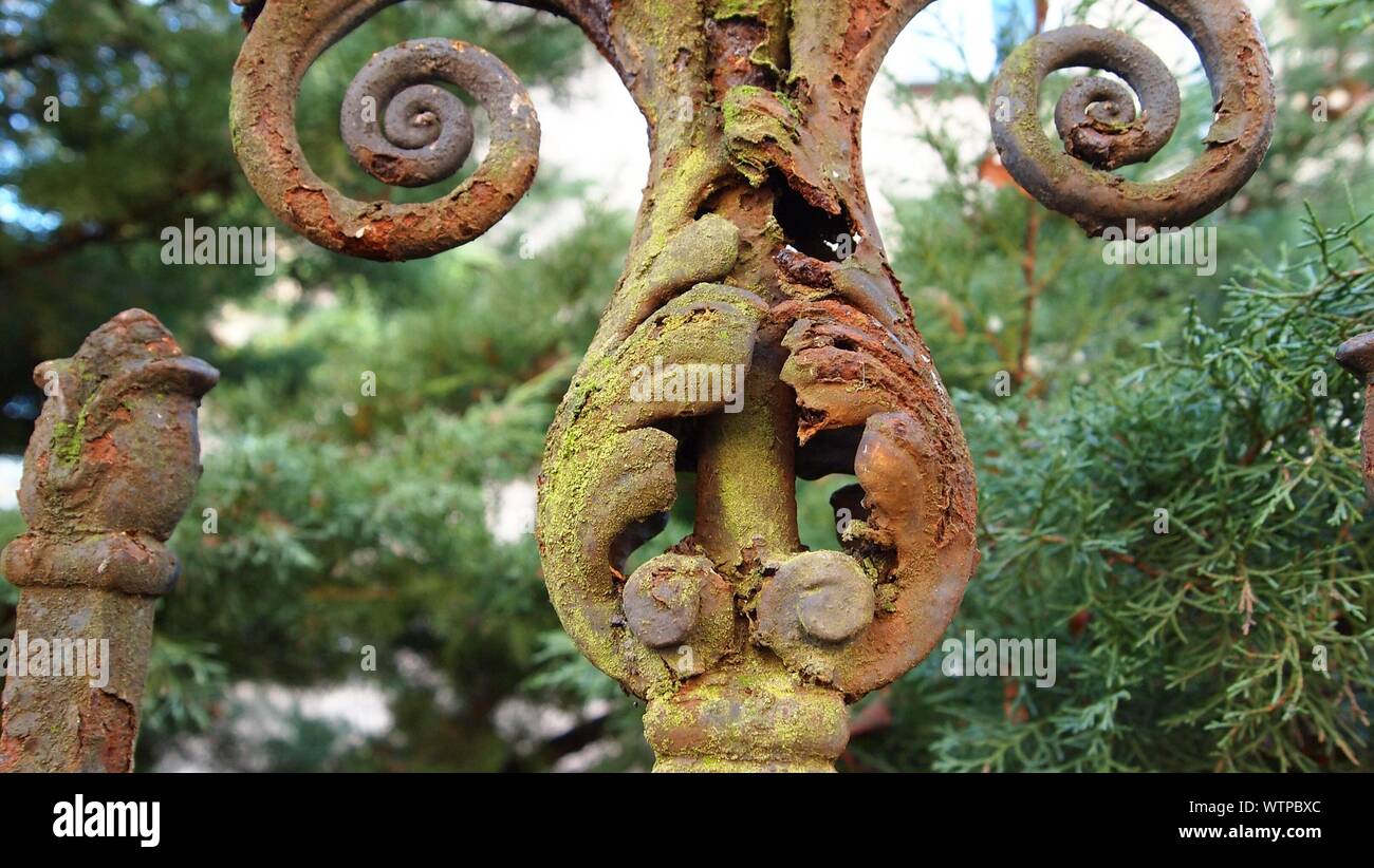 Old damaged gate hi-res stock photography and images - Alamy