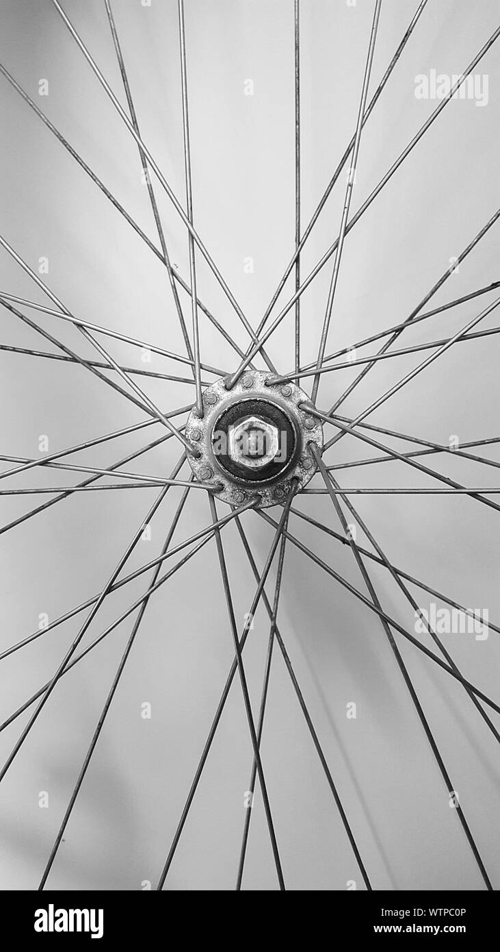 He spoke hi-res stock photography and images - Alamy