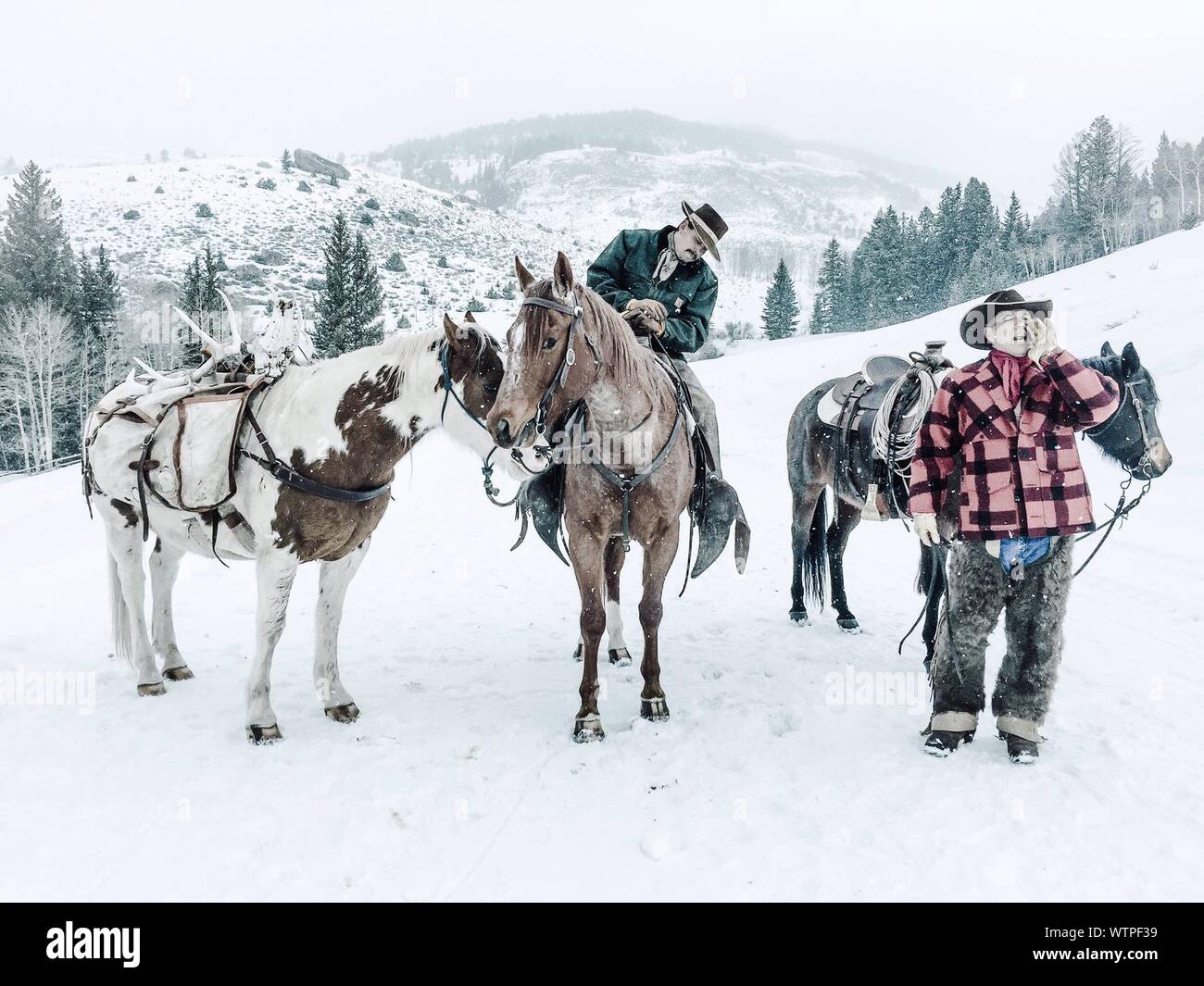Cowboys Riding Horses In Snow High Resolution Stock Photography and ...