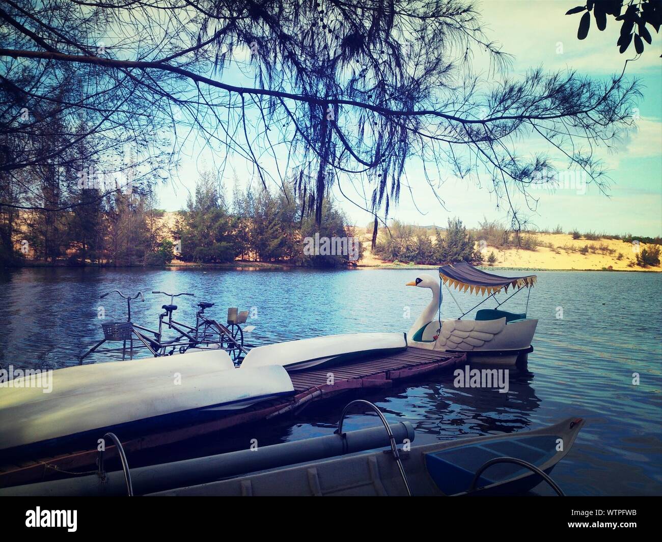 Swan Boat High Resolution Stock Photography and Images - Alamy
