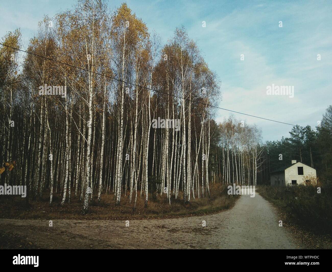 House At The Roadside High Resolution Stock Photography and Images - Alamy