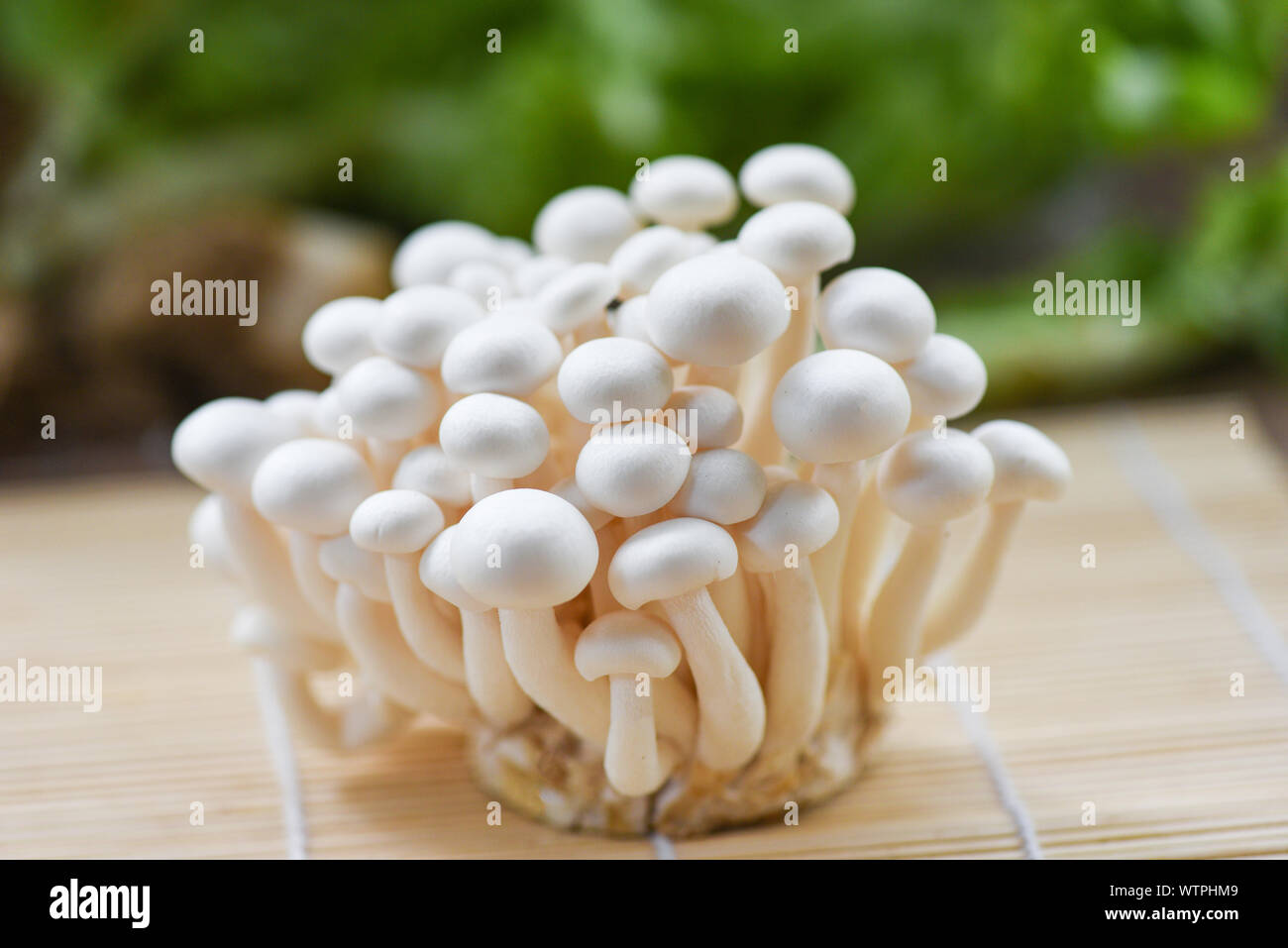 shimeji mushroom / Edible or White beech mushrooms on wooden background ...