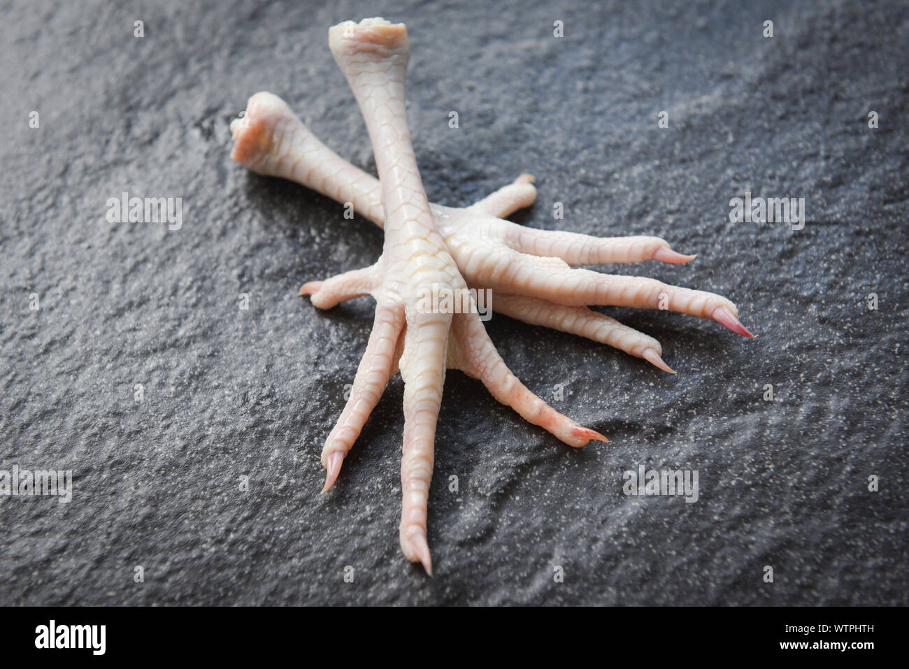 Manufacturer Of Chicken Paw