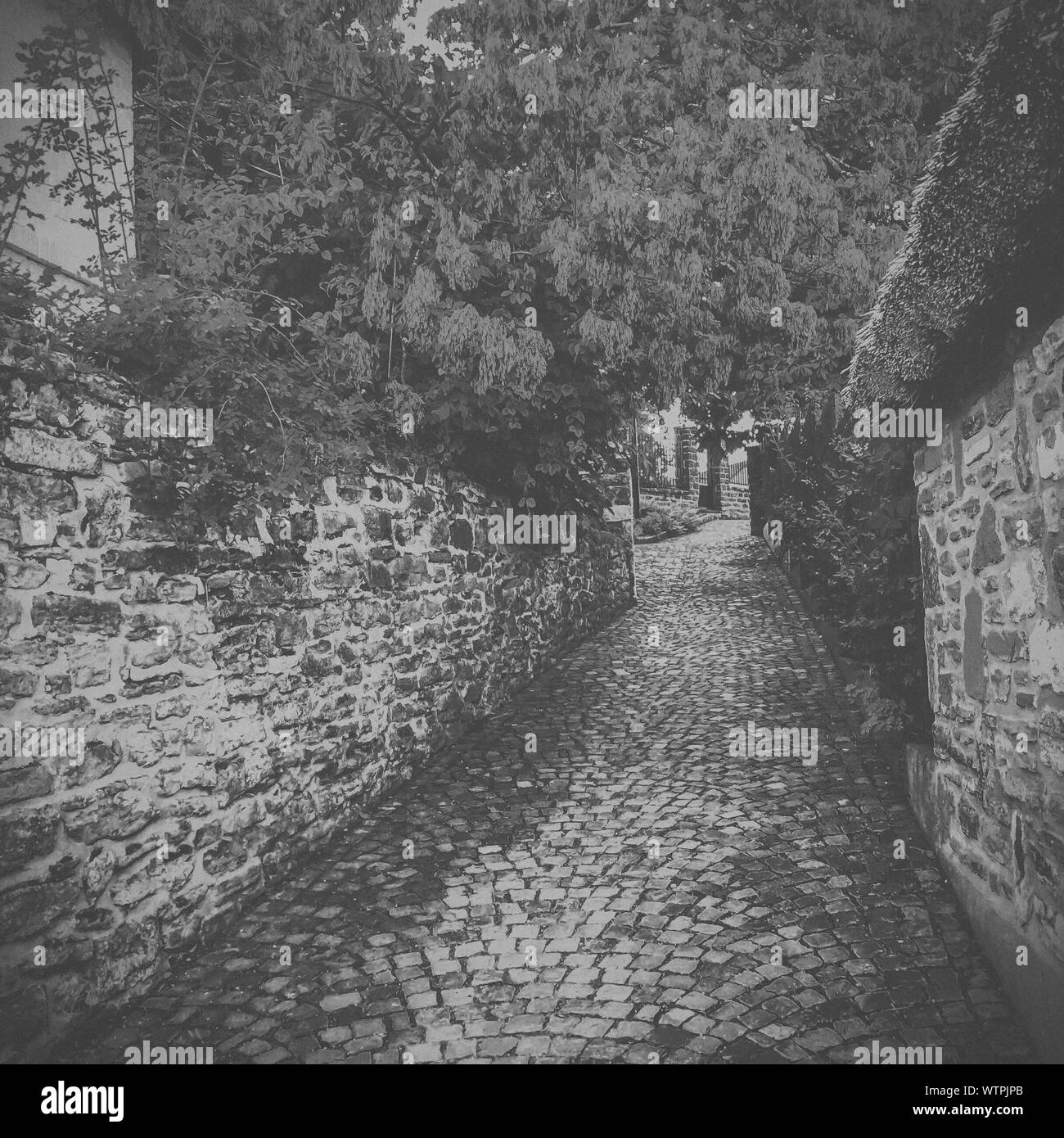 Old stone walkway Black and White Stock Photos & Images - Alamy