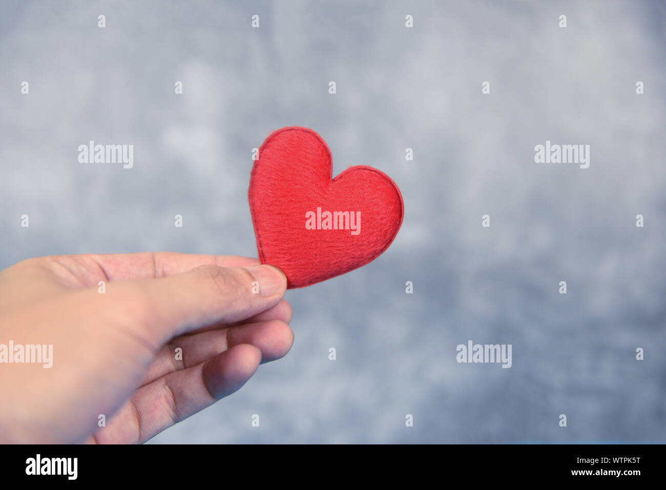 heart on hand for philanthropy concept / man holding red heart in hands ...