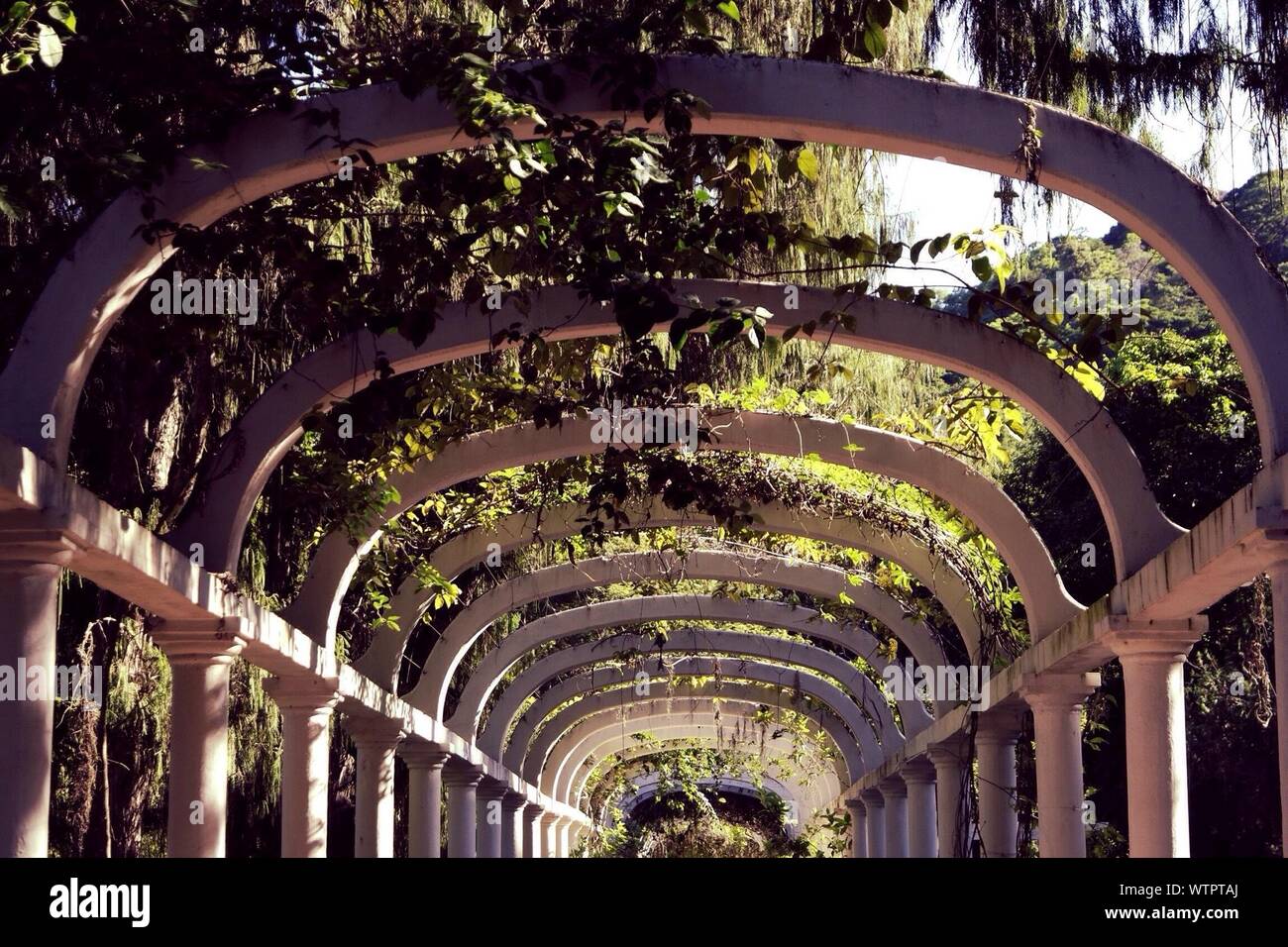 Arch colonnade hi-res stock photography and images - Alamy