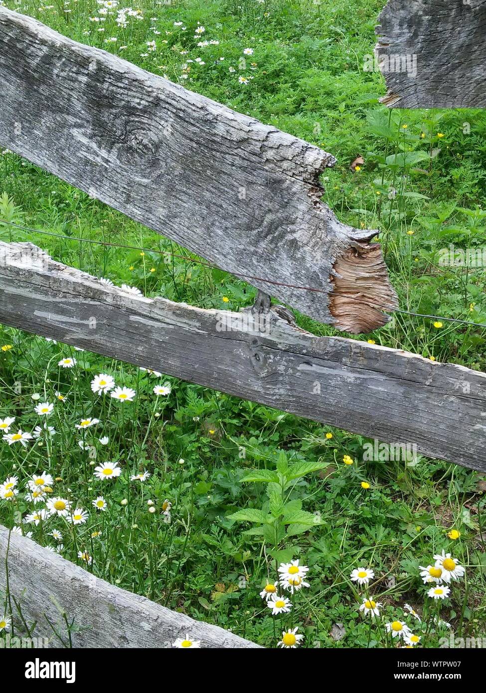 Destroyed fence hi-res stock photography and images - Alamy