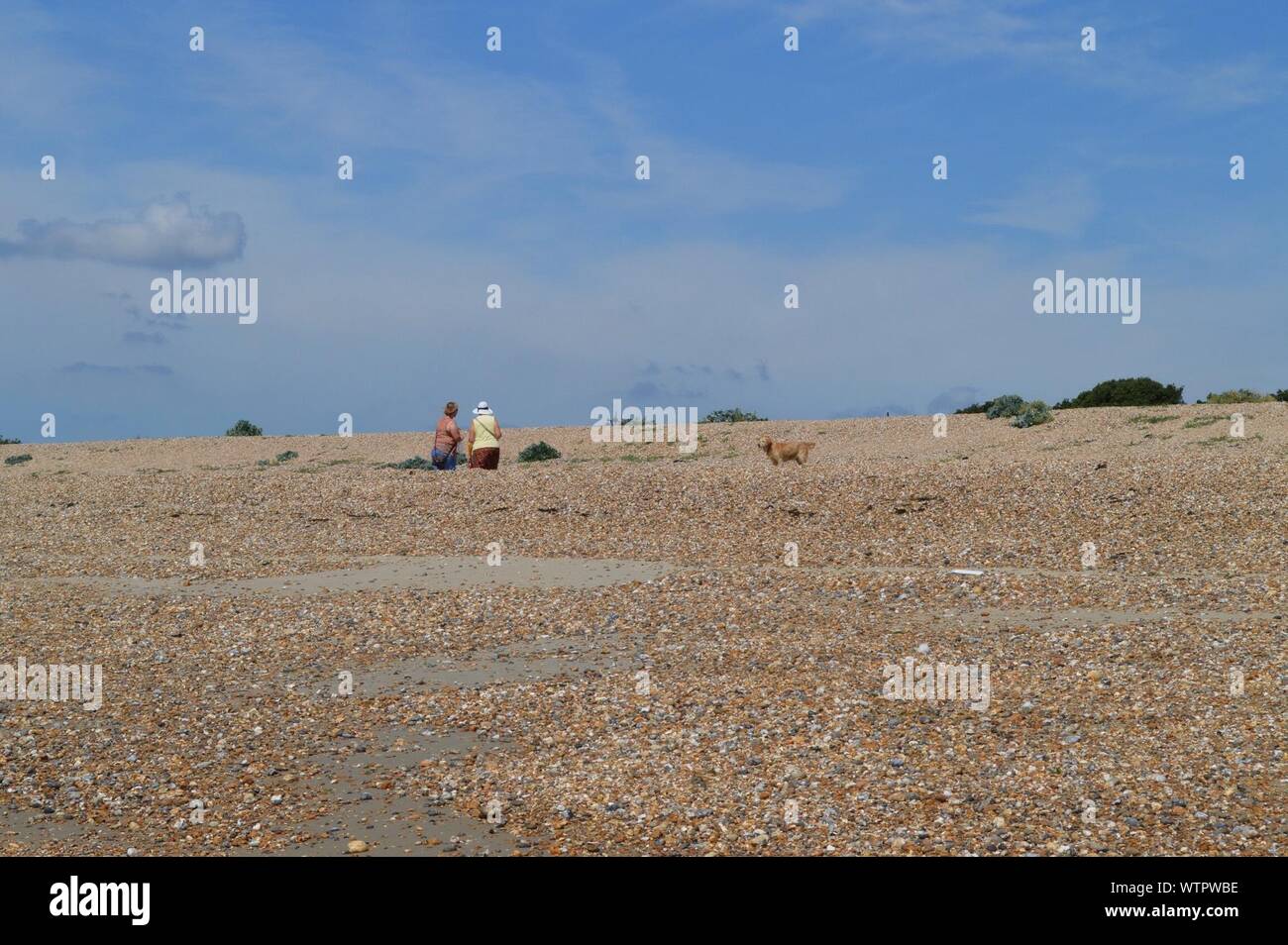 Pebble Plain High Resolution Stock Photography and Images - Alamy