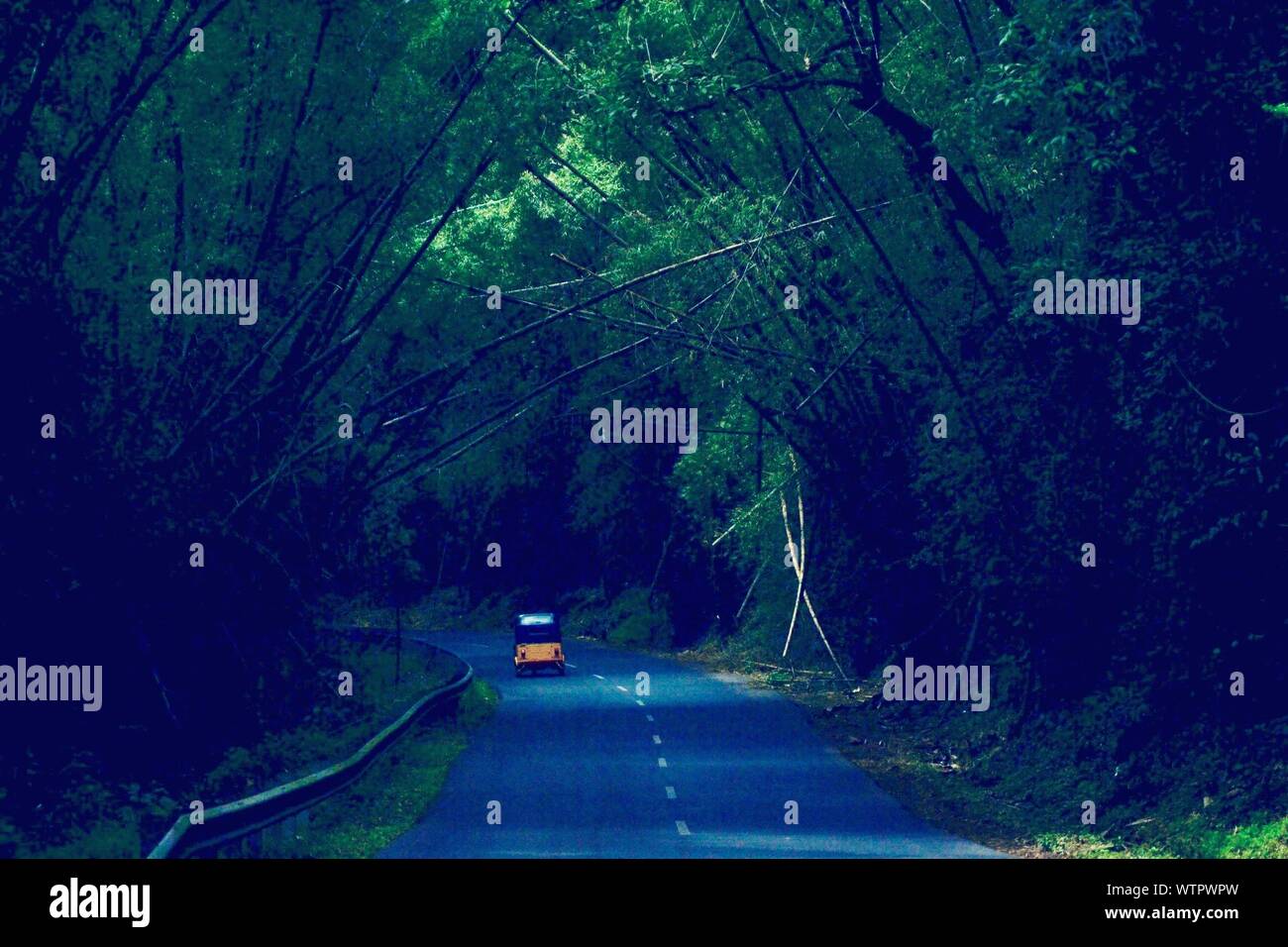 Canopy over road hi-res stock photography and images - Alamy