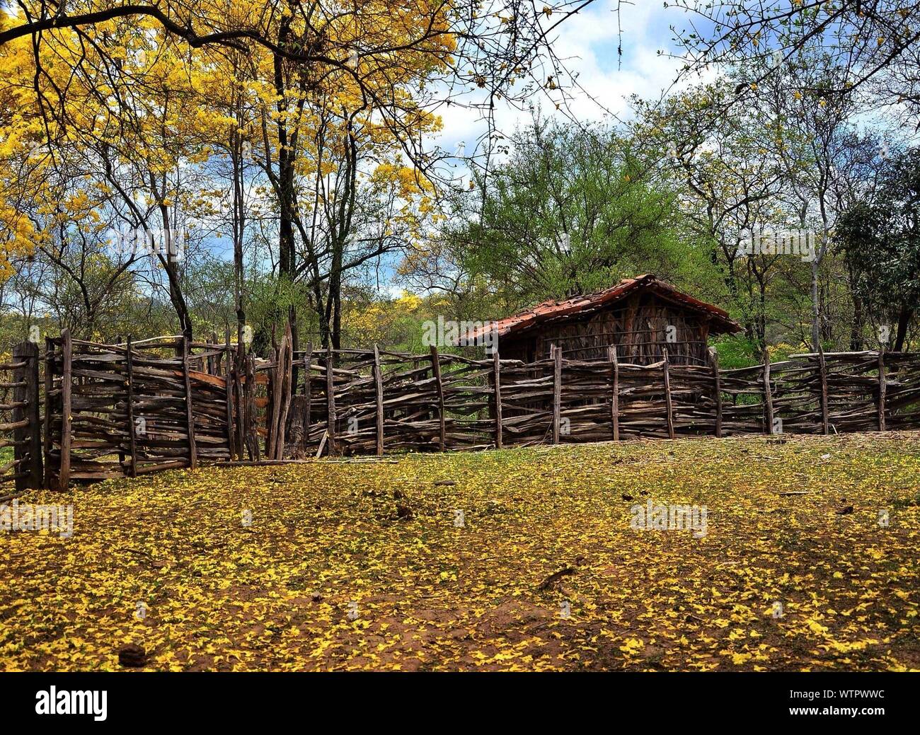 Hut fence hi-res stock photography and images - Alamy
