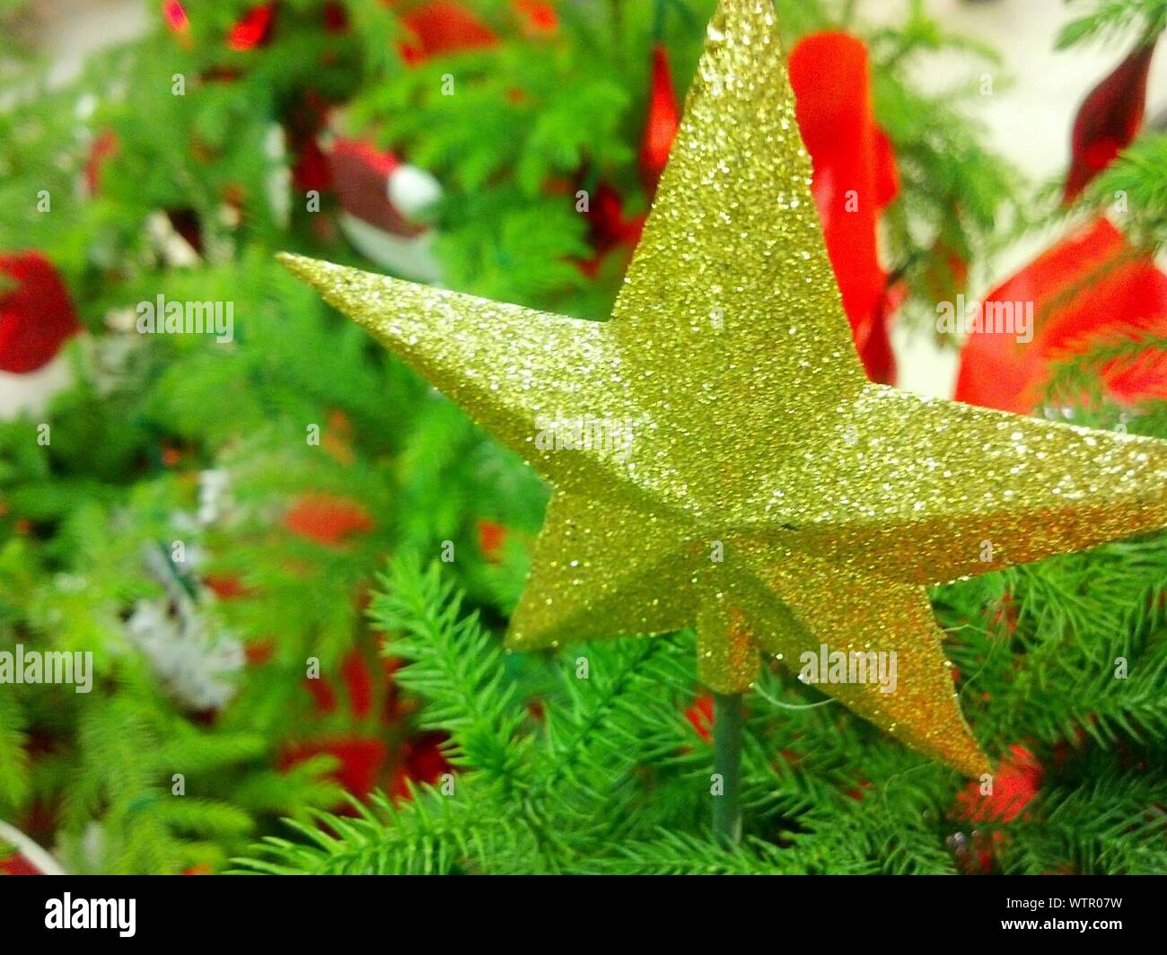 Topper tree hi-res stock photography and images - Alamy