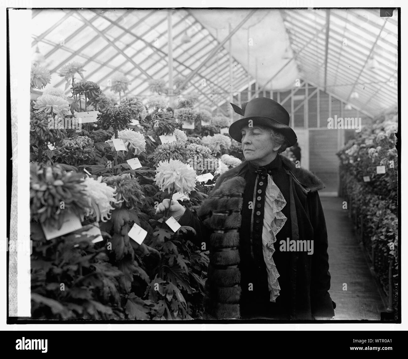 Kellogg frank Cut Out Stock Images & Pictures - Alamy