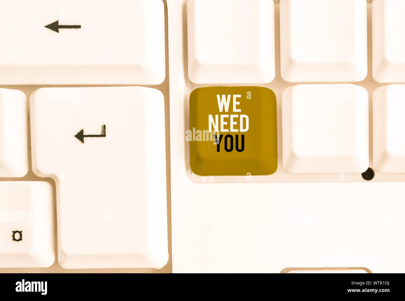 Text sign showing We Need You. Business photo showcasing to fulfill the ...