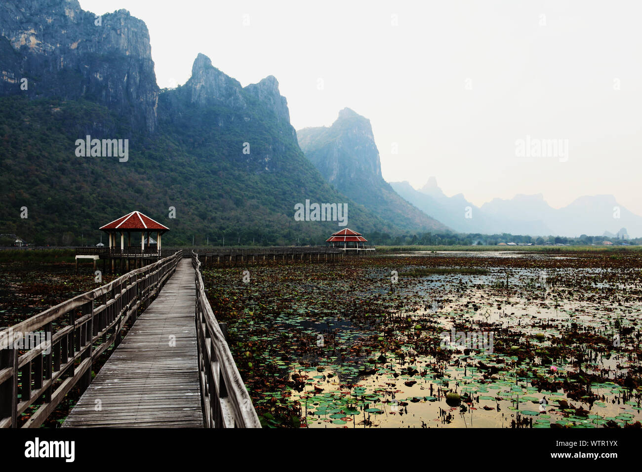 Wetland at Khao Sam Roi Yot National Park , Wooden bridge and pavilion ...