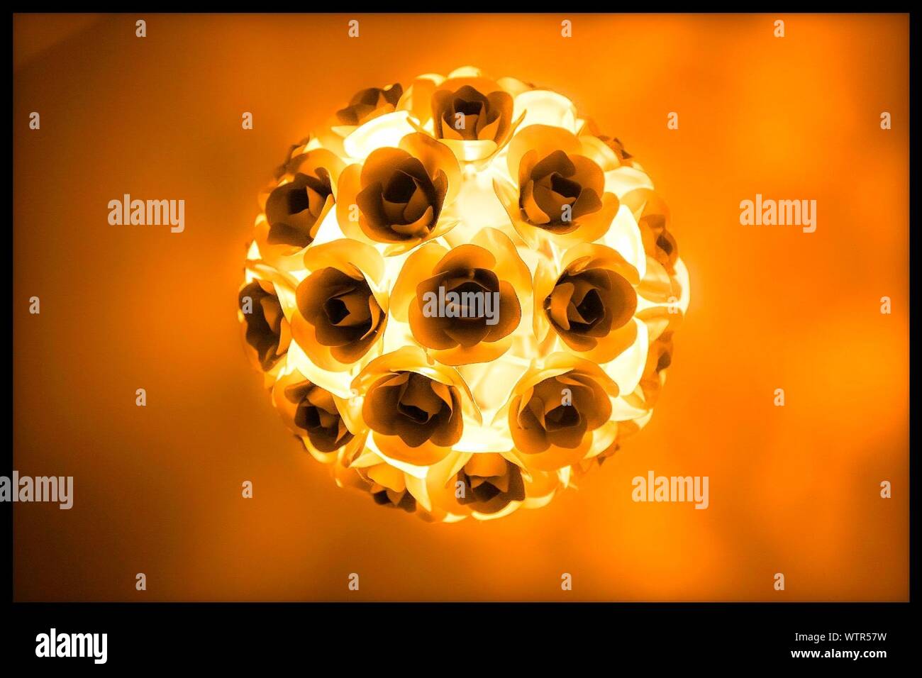 Spherical flowers hi-res stock photography and images - Alamy