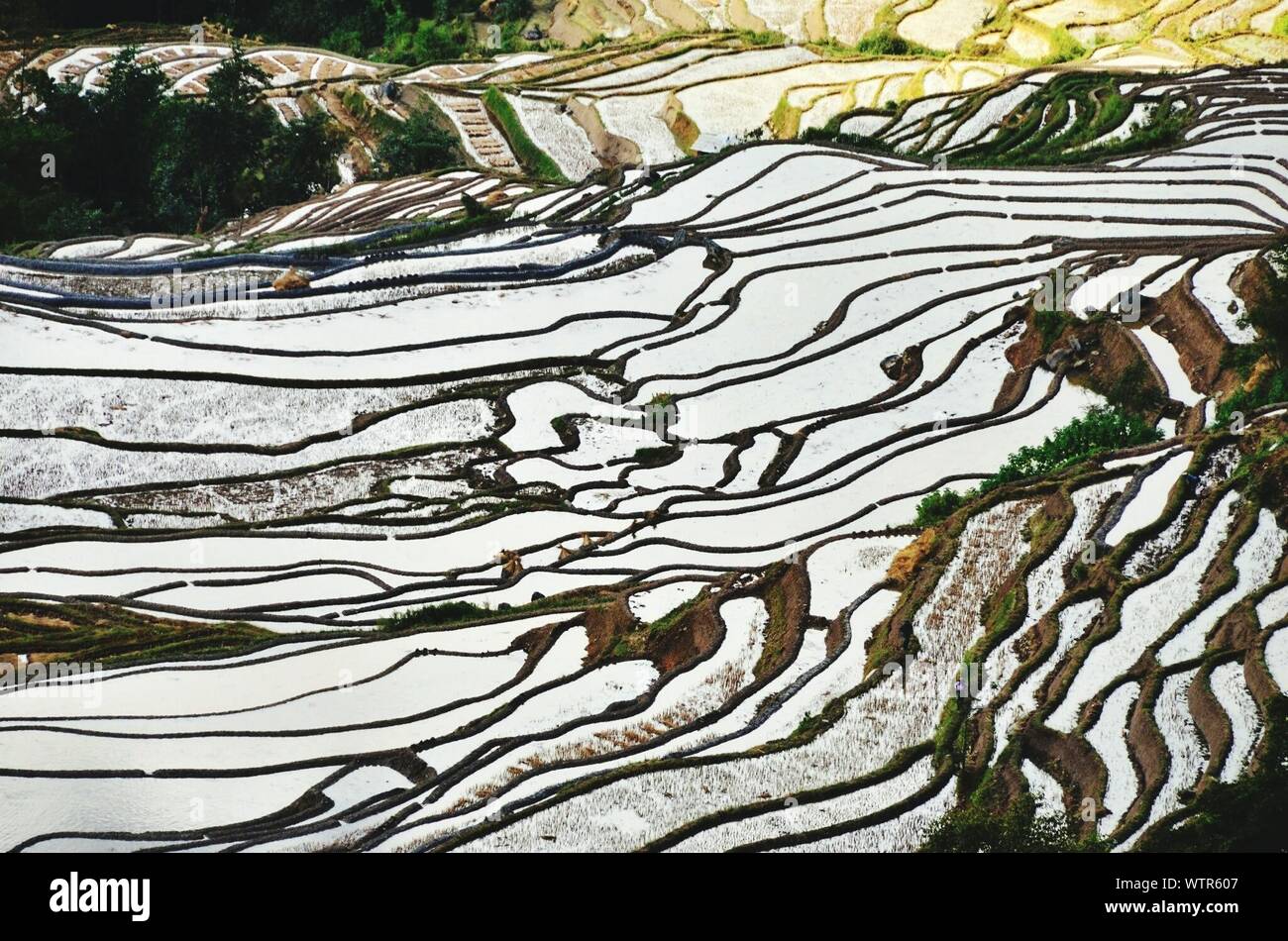 Scenic landscape (no water) hi-res stock photography and images - Alamy