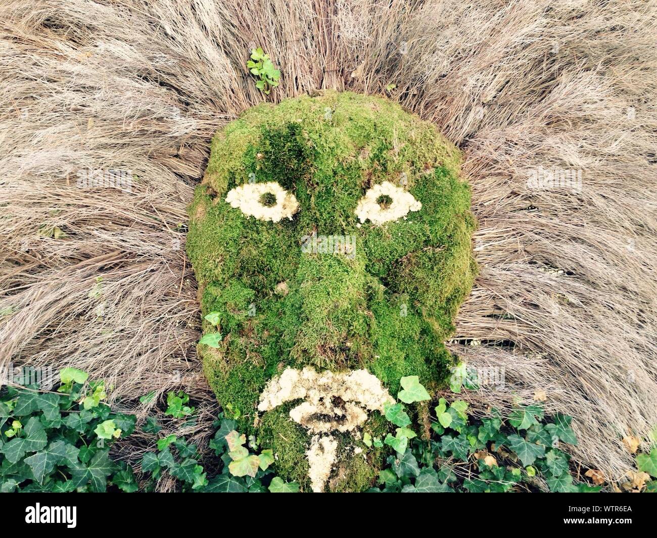 Human face shape hi-res stock photography and images - Alamy