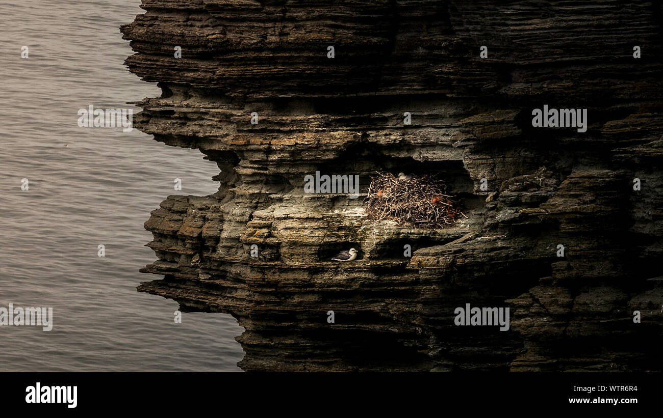 Two Ledges High Resolution Stock Photography and Images - Alamy