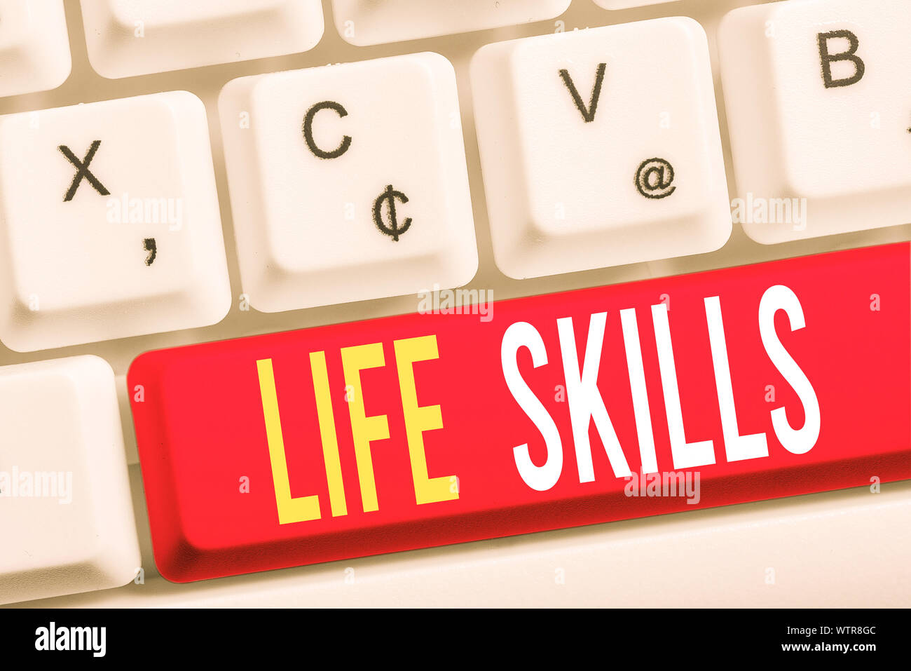 Word writing text Life Skills. Business photo showcasing skill that is ...