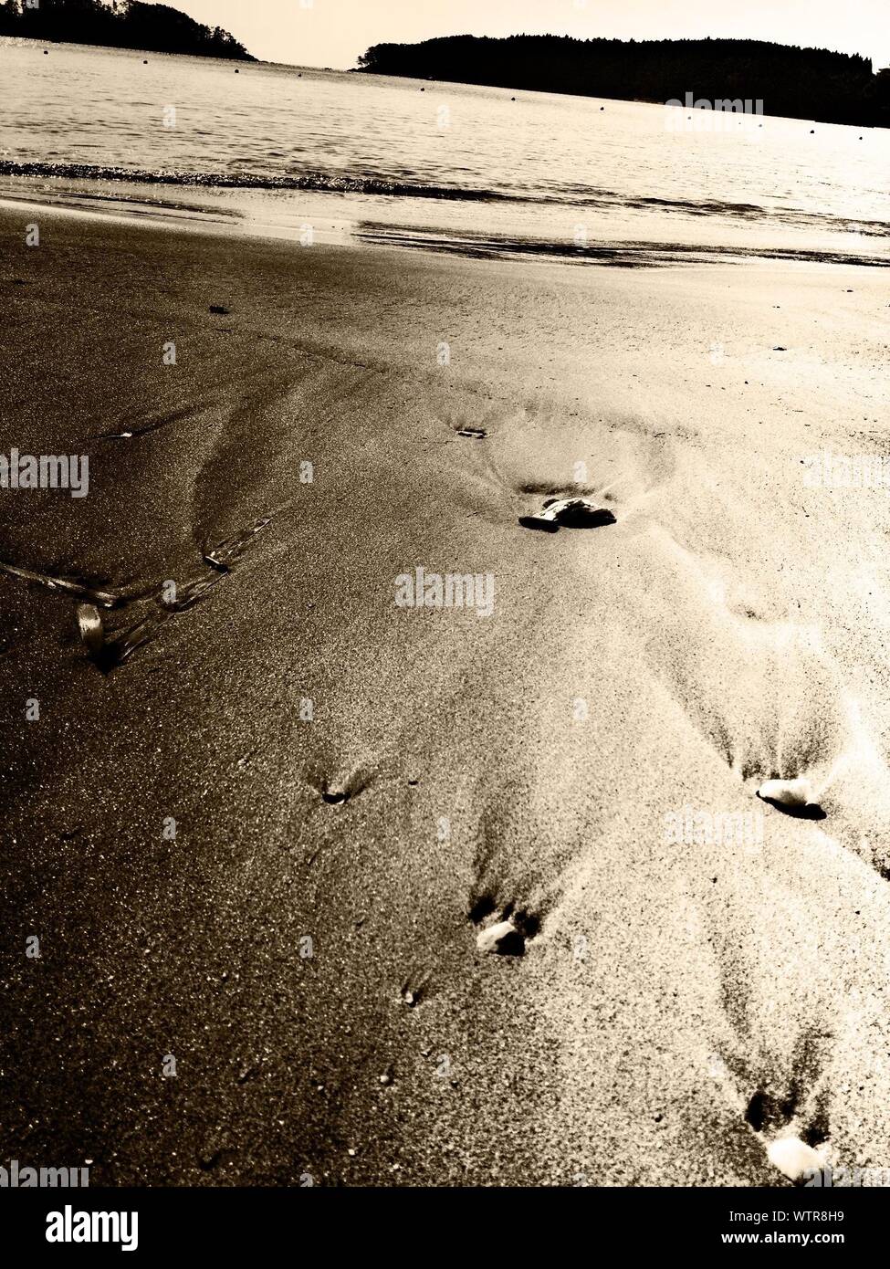 Wet bay hi-res stock photography and images - Alamy