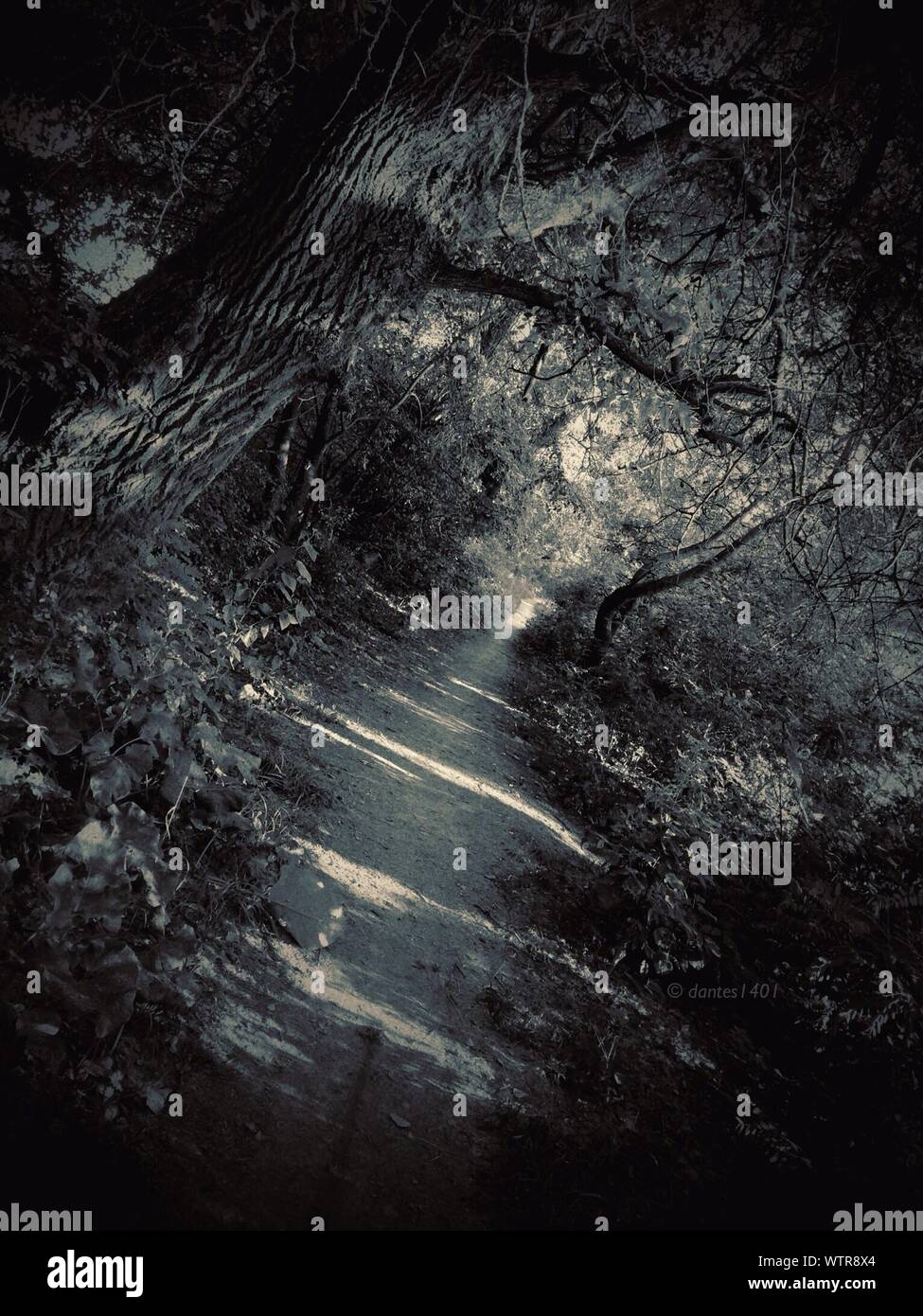 Tilt forward hi-res stock photography and images - Alamy